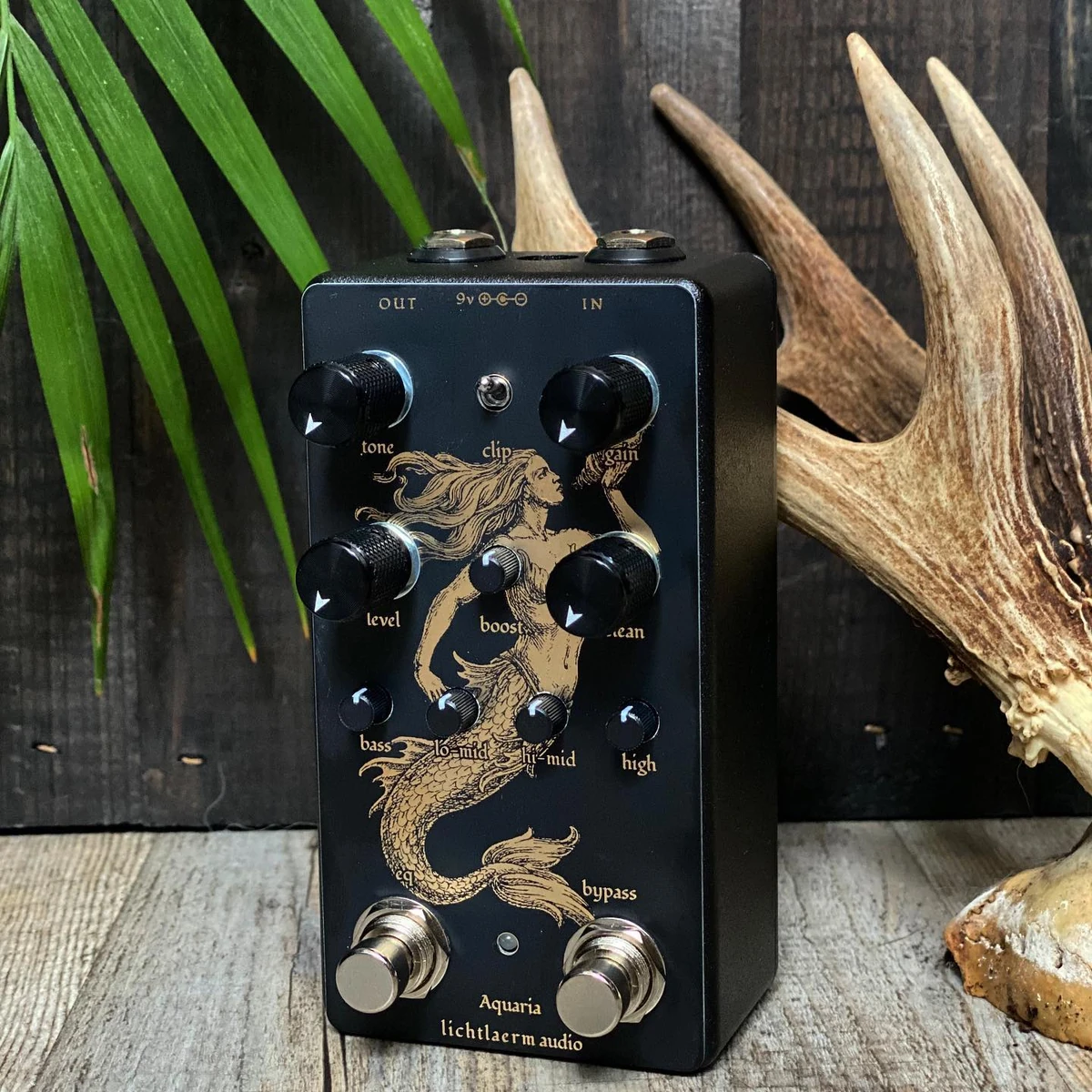 Aquaria | Lichtlaerm Audio Wiki | Fandom