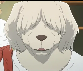 Collot | Lidia Wiki | Fandom