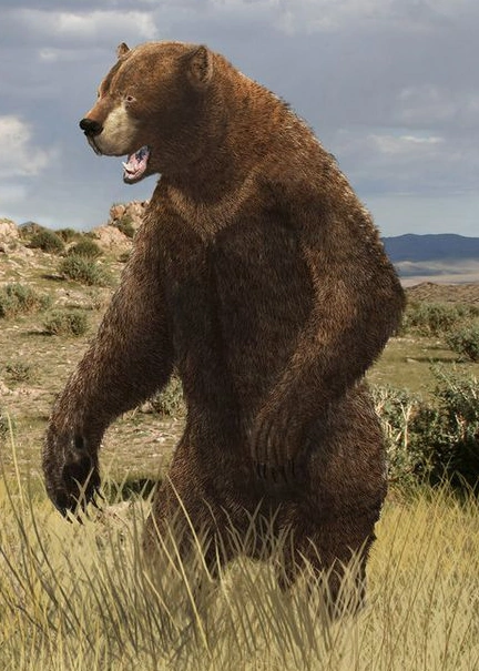 Venvoker bear (Liera) | Liera Wiki | Fandom