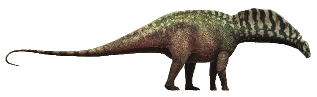 Dicraeosauridae (Liera) | Liera Wiki | Fandom