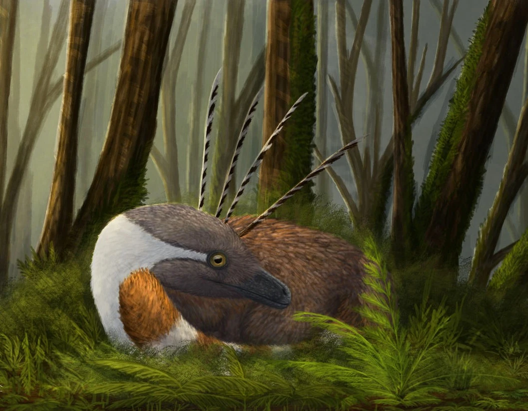 Lesser hobgoblin (Liera) | Liera Wiki | Fandom