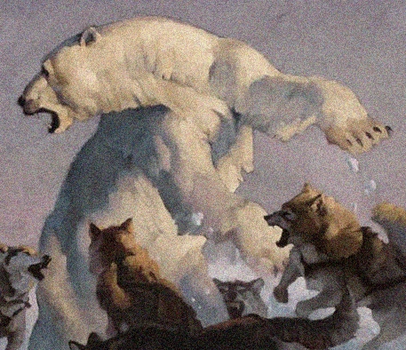 Lieran polar bear (Liera) | Liera Wiki | Fandom