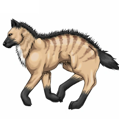 Hyaenidae (Liera) | Liera Wiki | Fandom