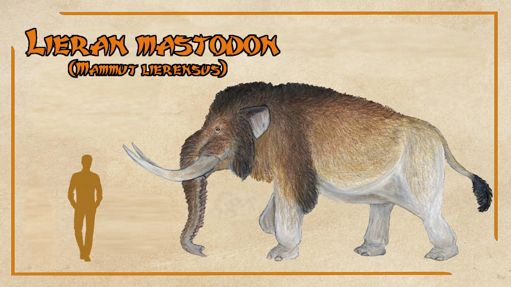Lieran mastodon (Liera) | Liera Wiki | Fandom