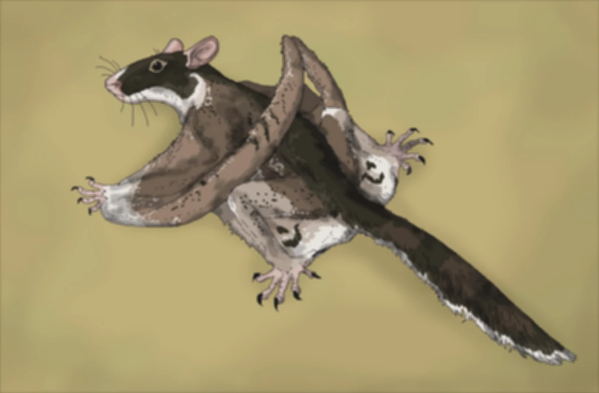 Meckopterogium (Liera) | Liera Wiki | Fandom