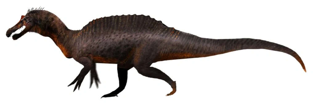 Gigaerospinus (Liera) | Liera Wiki | Fandom