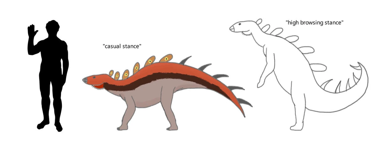 Neostegosaurus (Liera) | Liera Wiki | Fandom