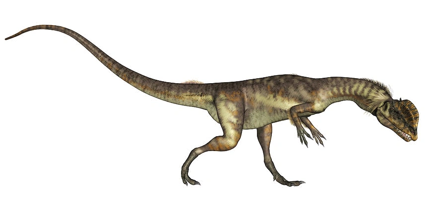 Agran crested devil (Liera) | Liera Wiki | Fandom