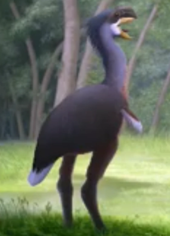 Magnificent ground finch (Liera) | Liera Wiki | Fandom