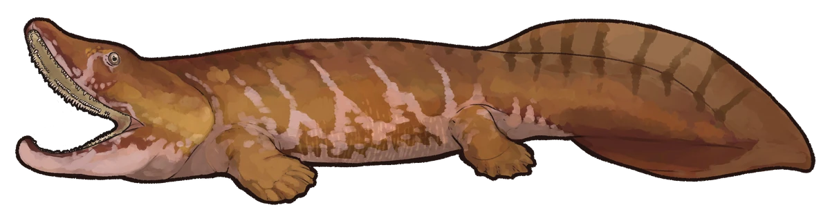 Ichthyostegalia (Liera) | Liera Wiki | Fandom