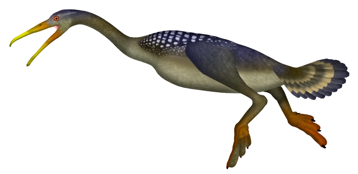 Phocatornis (Liera) | Liera Wiki | Fandom