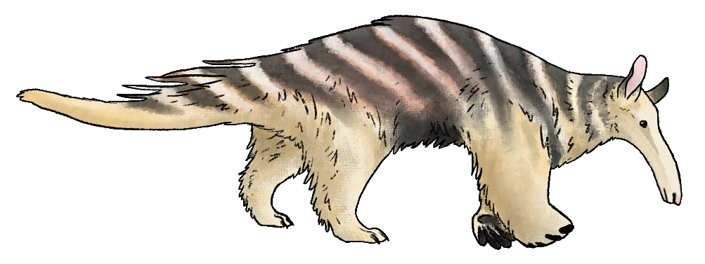 Lieran giant anteater (Liera) | Liera Wiki | Fandom