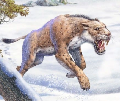 Shedu (Liera) | Liera Wiki | Fandom