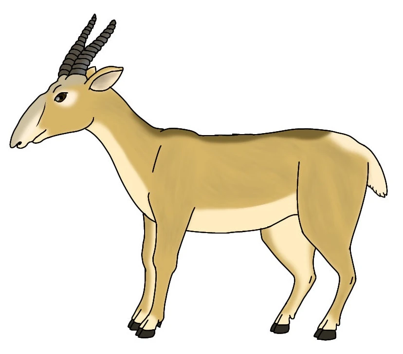 Novolaurasian saiga (Liera) | Liera Wiki | Fandom