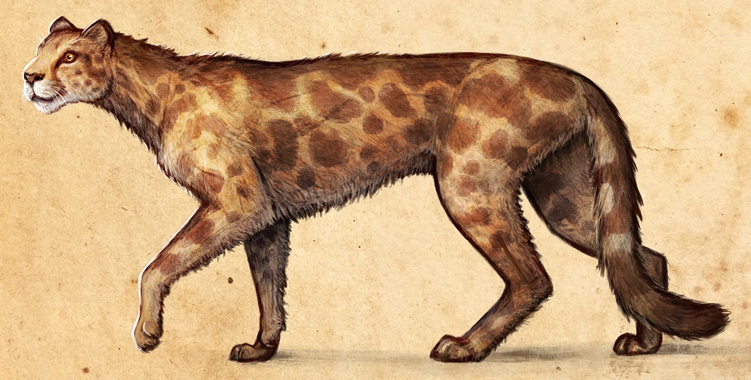 Lieran true cheetah (Liera) | Liera Wiki | Fandom