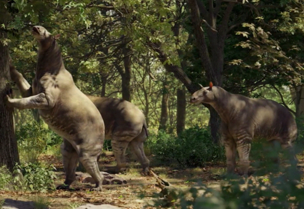 Novolaurasian chalice (Liera) | Liera Wiki | Fandom