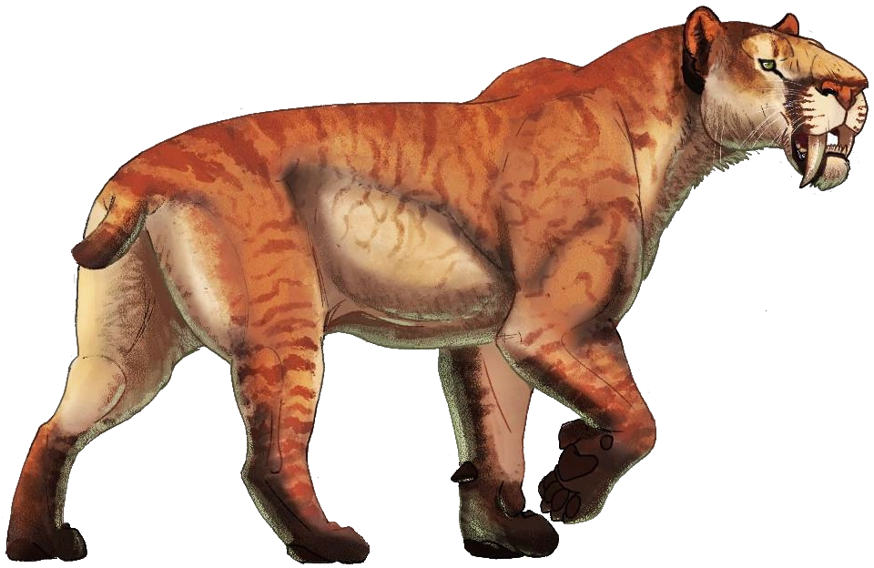 Eregolurus (Liera) | Liera Wiki | Fandom