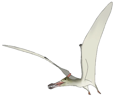 Keel-crested griffin (Liera) | Liera Wiki | Fandom