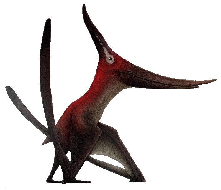 Short-crested griffin (Liera) | Liera Wiki | Fandom