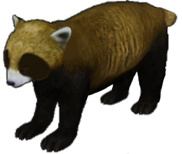 False panda (Liera) | Liera Wiki | Fandom