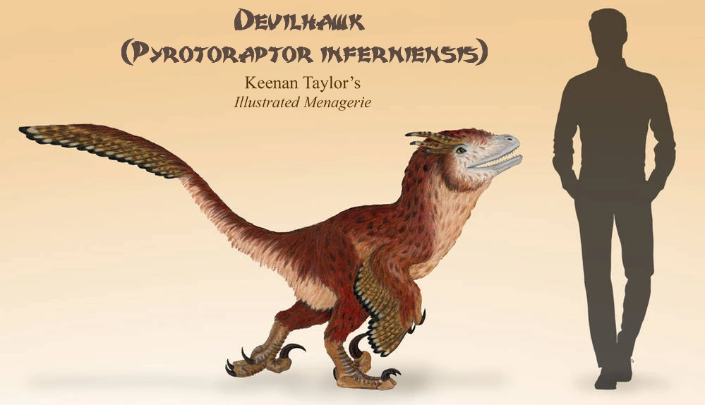 Devilhawk (Liera) | Liera Wiki | Fandom