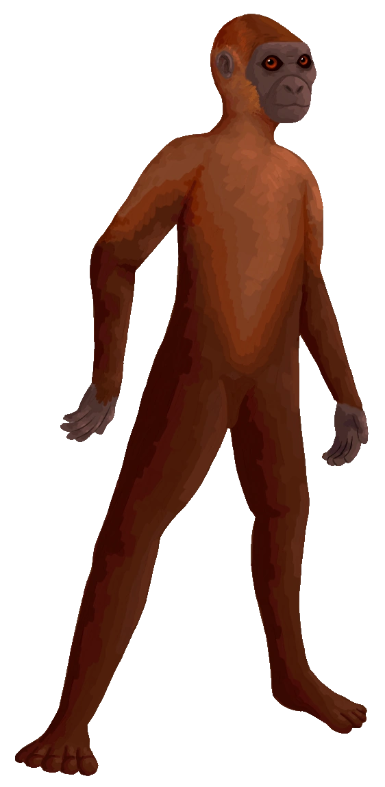 Shrubland walking ape (Liera) | Liera Wiki | Fandom