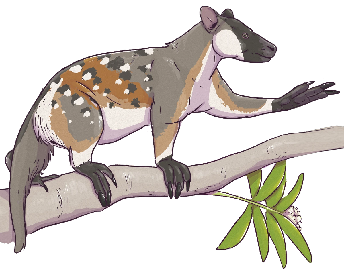 Anoplotheriidae (Liera) | Liera Wiki | Fandom