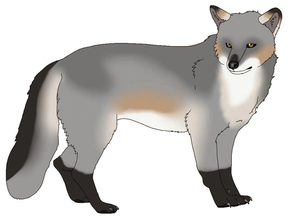 Fishing fox (Liera) | Liera Wiki | Fandom