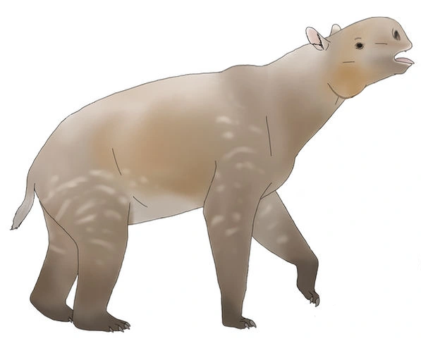 Meckora chalice (Liera) | Liera Wiki | Fandom