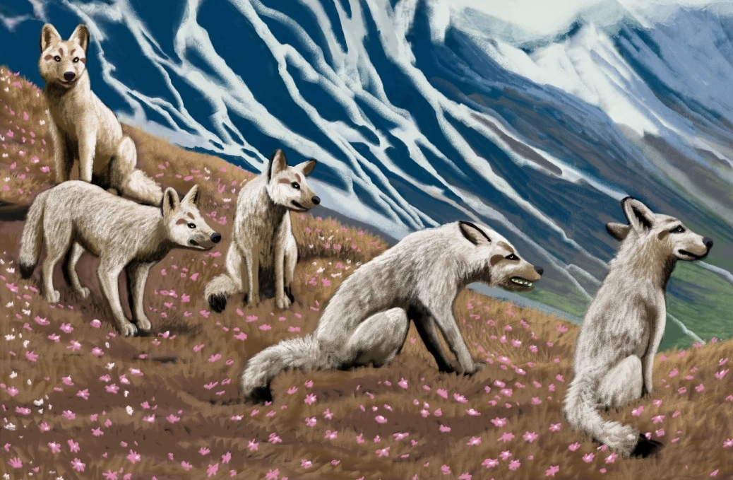 Warakin (Liera) | Liera Wiki | Fandom