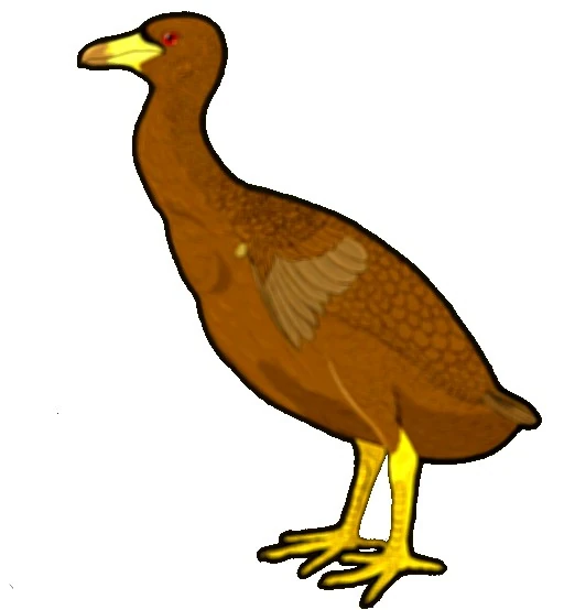 Mountain solitaire (Liera) | Liera Wiki | Fandom