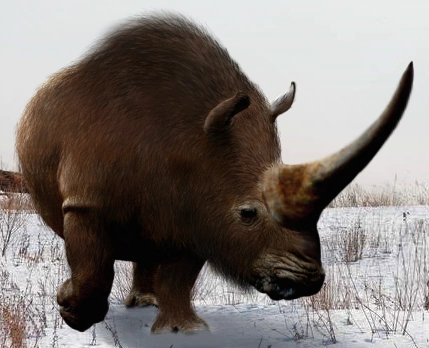 Woolly giant unicorn (Liera) | Liera Wiki | Fandom