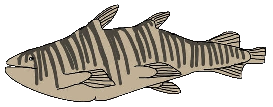 Coelacanthiformes (Liera) | Liera Wiki | Fandom