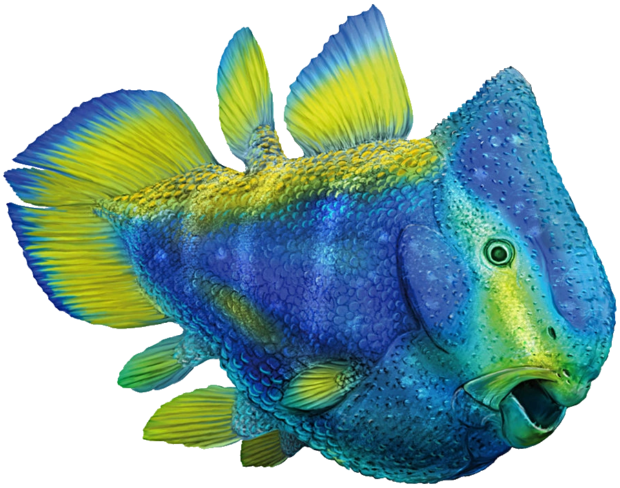 Great green parrotcanth (Liera) | Liera Wiki | Fandom