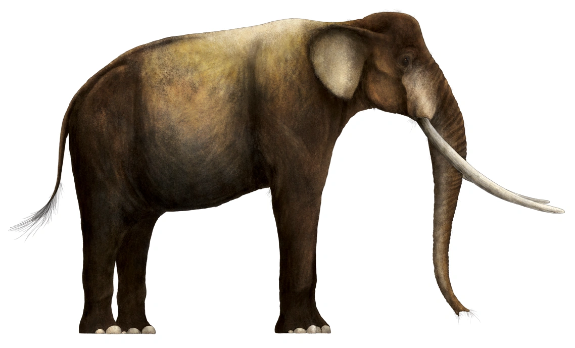 Tigan behemoth (Liera) | Liera Wiki | Fandom