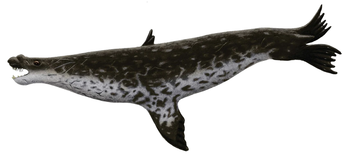 Kianpraty (Liera) | Liera Wiki | Fandom