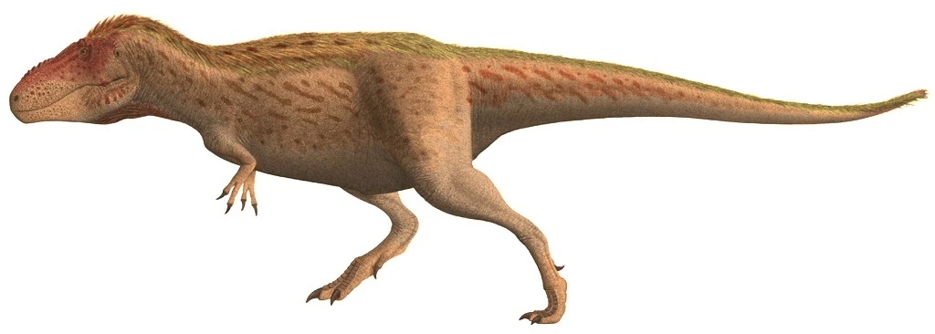 Tyrannosauroidea (Liera) | Liera Wiki | Fandom