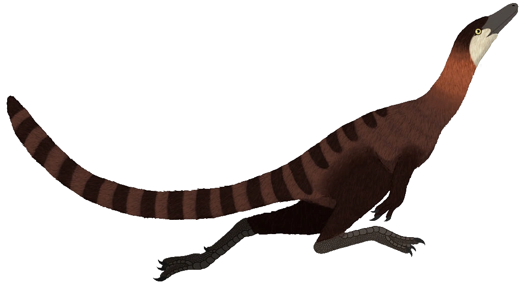 White-headed hobgoblin (Liera) | Liera Wiki | Fandom