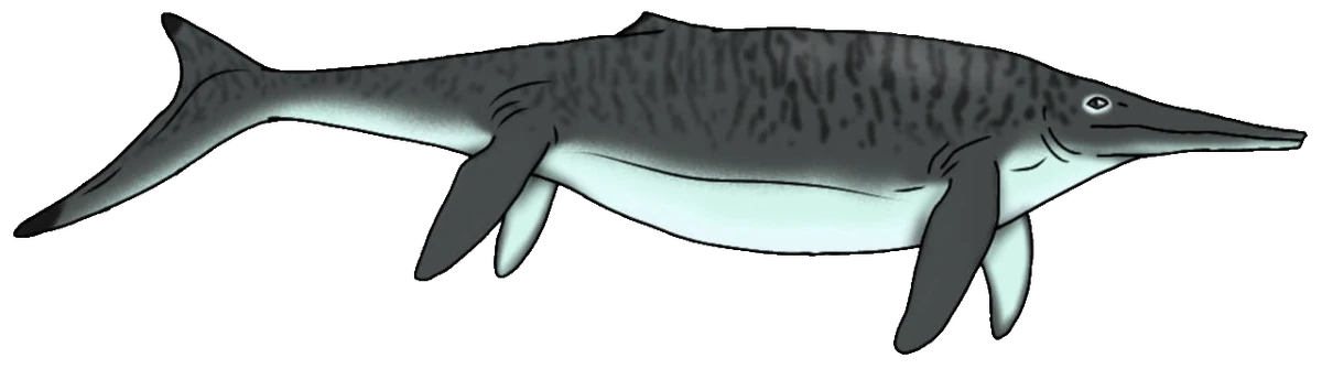 Lieran sea beast (Liera) | Liera Wiki | Fandom