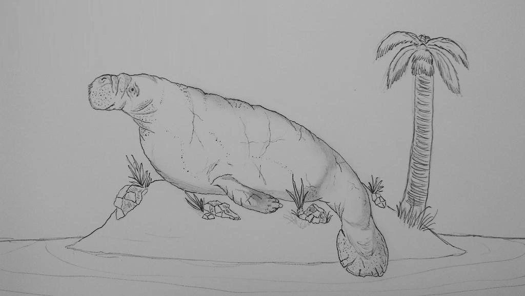 Giant manatee (Liera) | Liera Wiki | Fandom