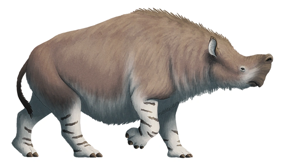 Woolly thunderbeast (Liera) | Liera Wiki | Fandom