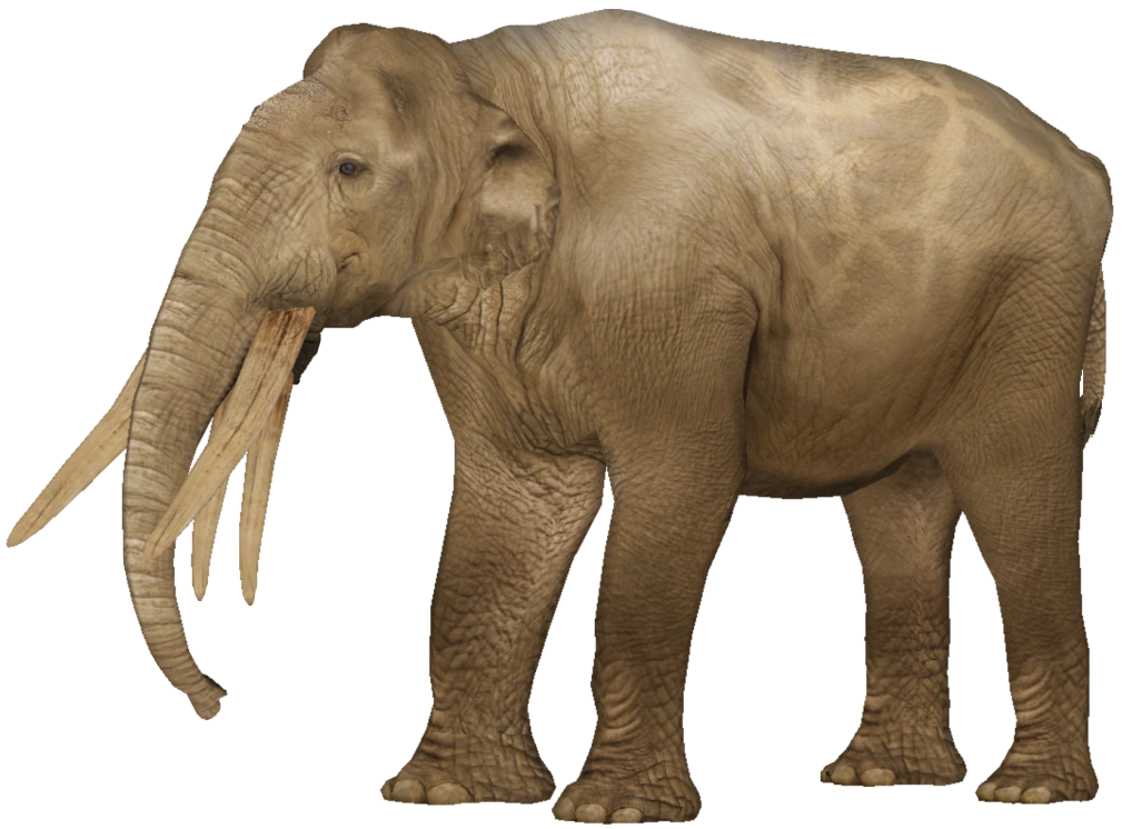 Lieran oliphaunt (Liera) | Liera Wiki | Fandom