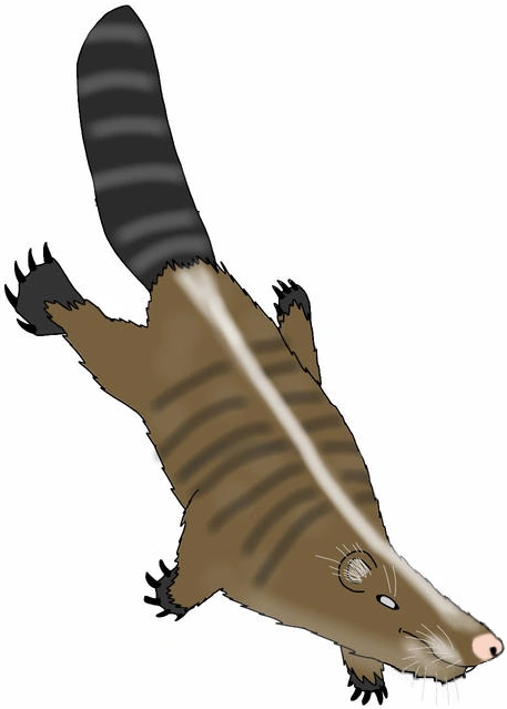 Rompo (Liera) | Liera Wiki | Fandom