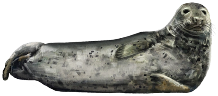 Lieran greater seal (Liera) | Liera Wiki | Fandom