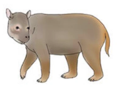Meckora capybara (Liera) | Liera Wiki | Fandom