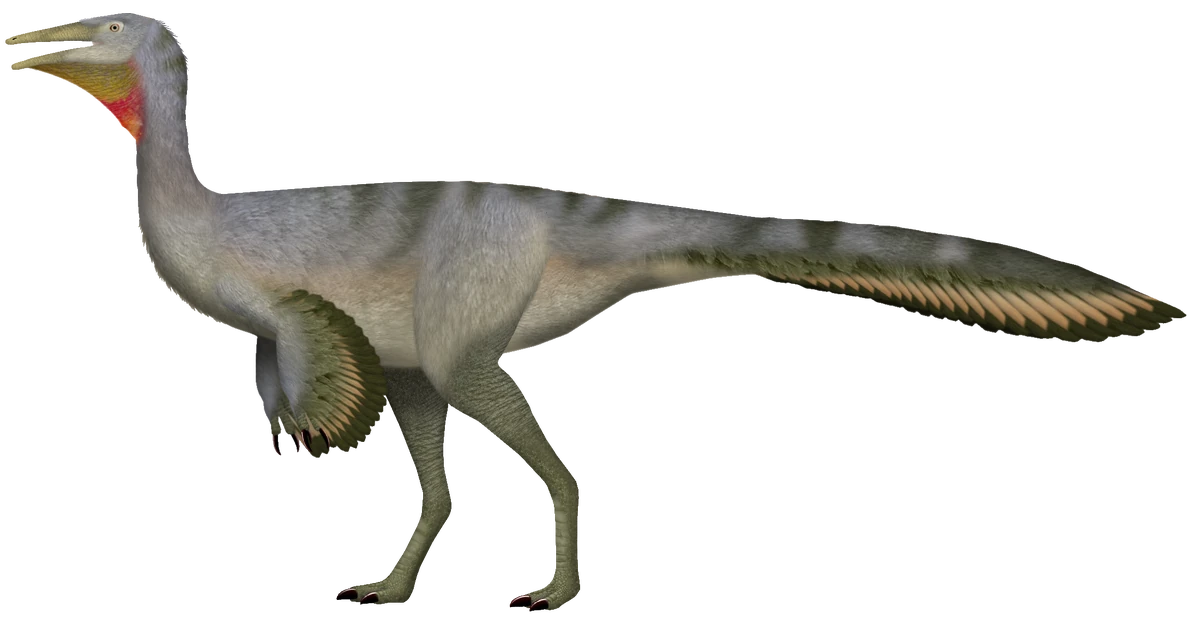 Manticapteryx (Liera) | Liera Wiki | Fandom