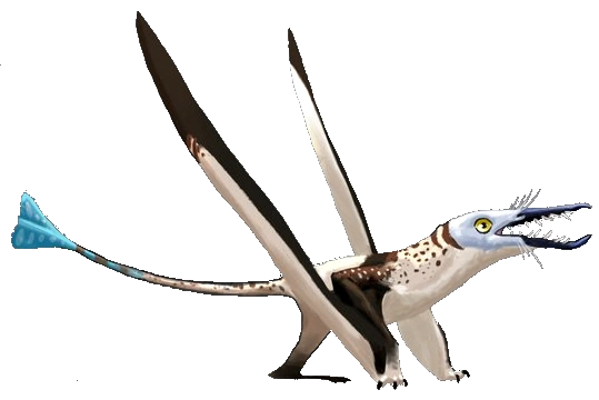 Greater long-tailed griffin (Liera) | Liera Wiki | Fandom
