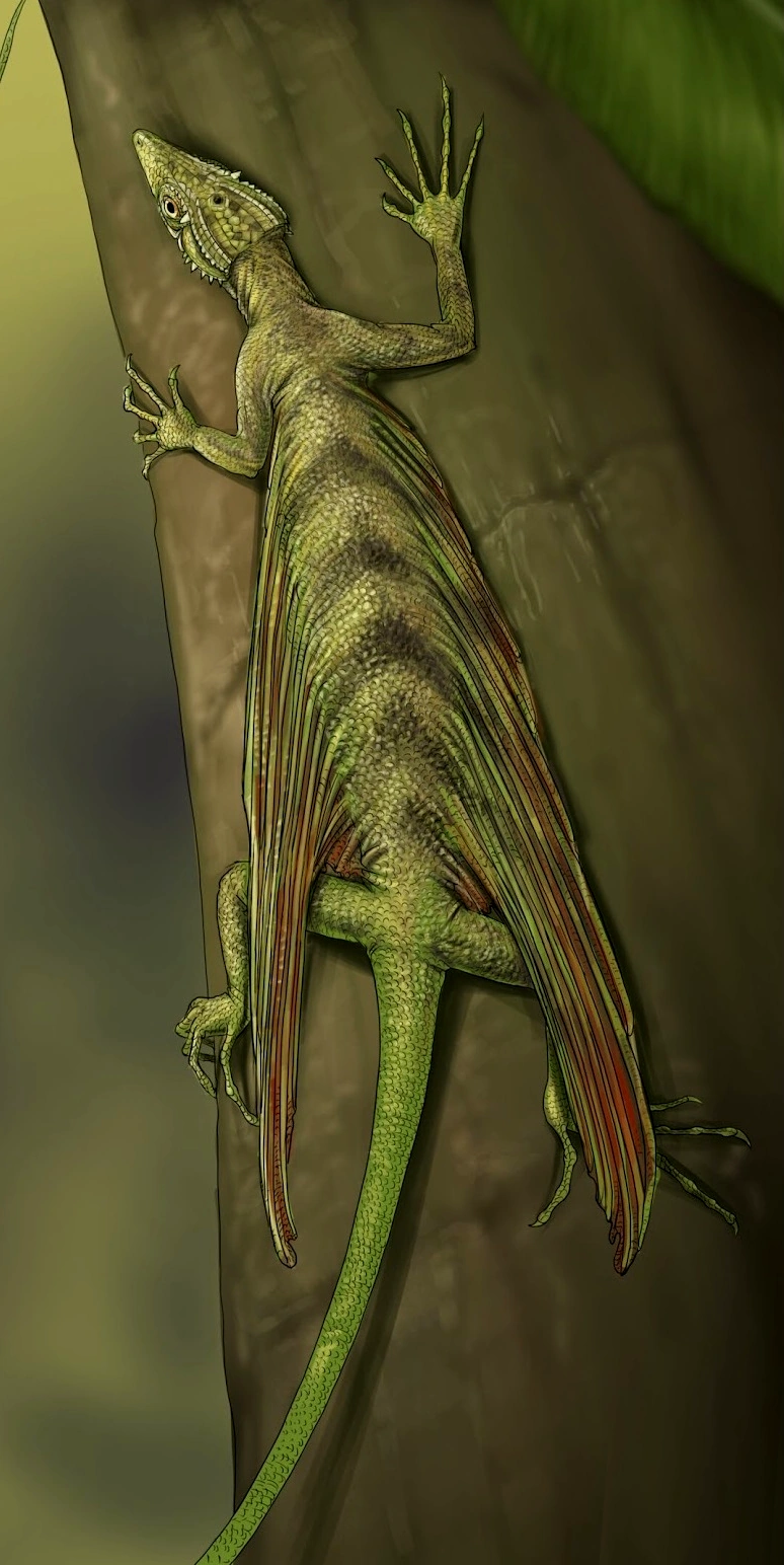 Weigeltisauridae (Liera) | Liera Wiki | Fandom