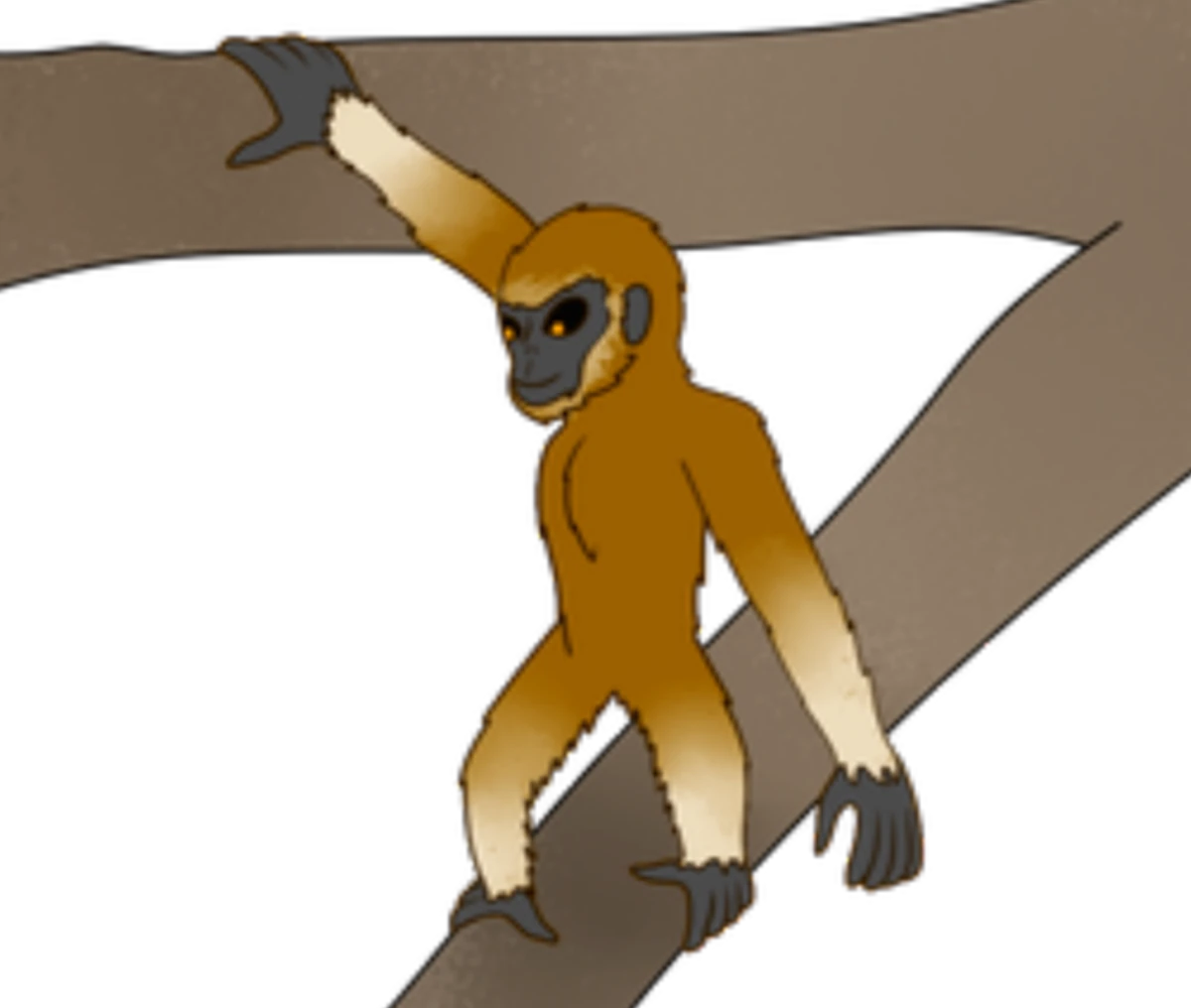 Hylobatidae (Liera) | Liera Wiki | Fandom