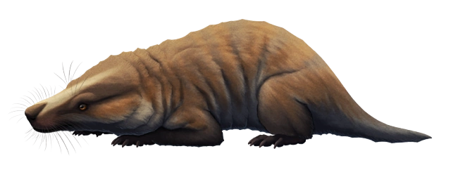 Neothrinaxodontidae (Liera) | Liera Wiki | Fandom